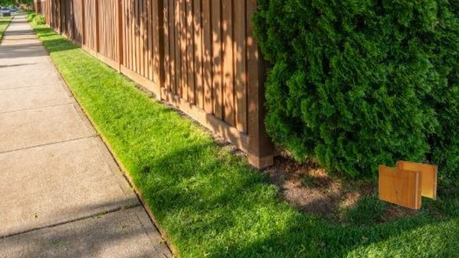 How to Protect Life of a Wooden Fence | Weed Eater Protection – Fence Armor