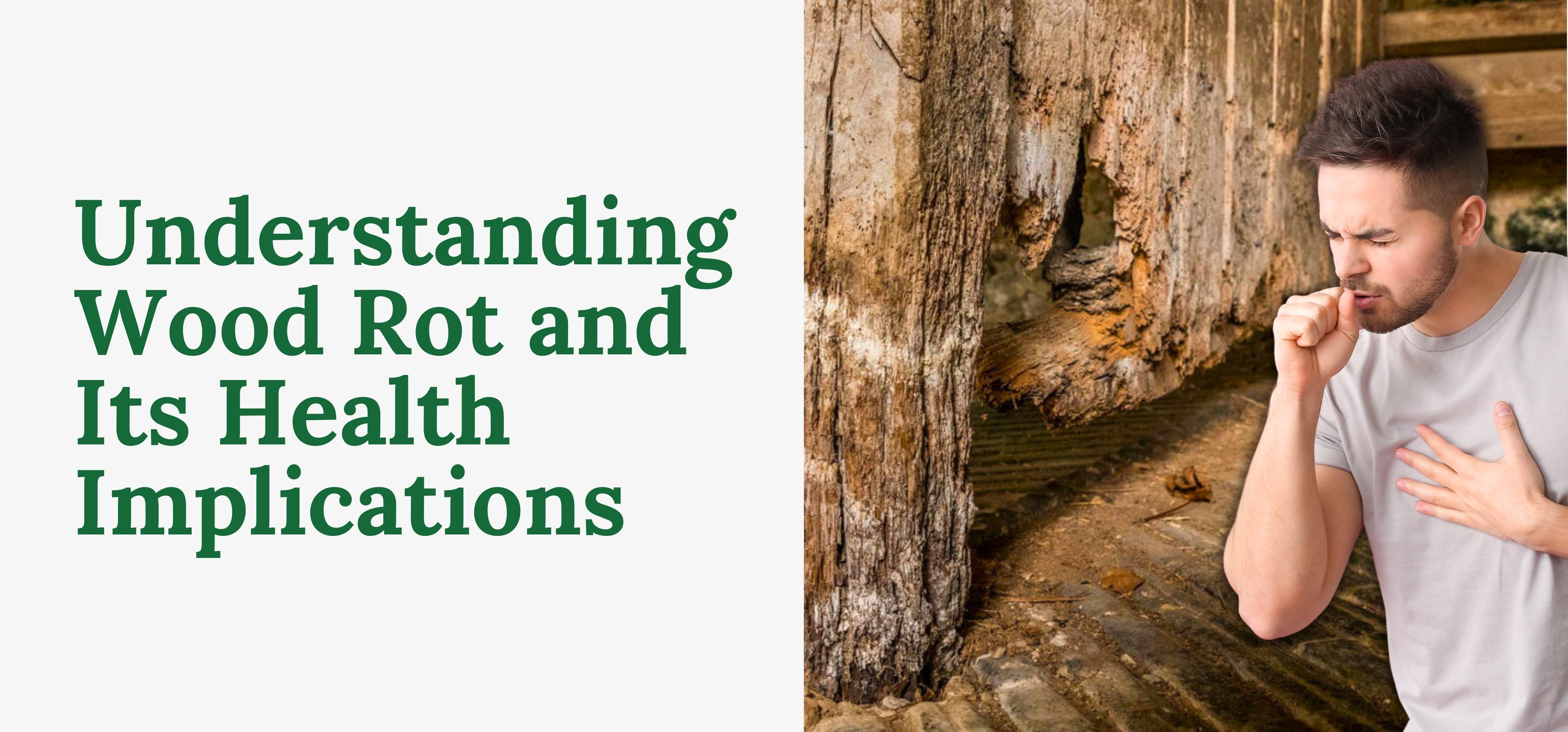 Is Wood Rot Dangerous to Humans? Health Implications – Fence Armor